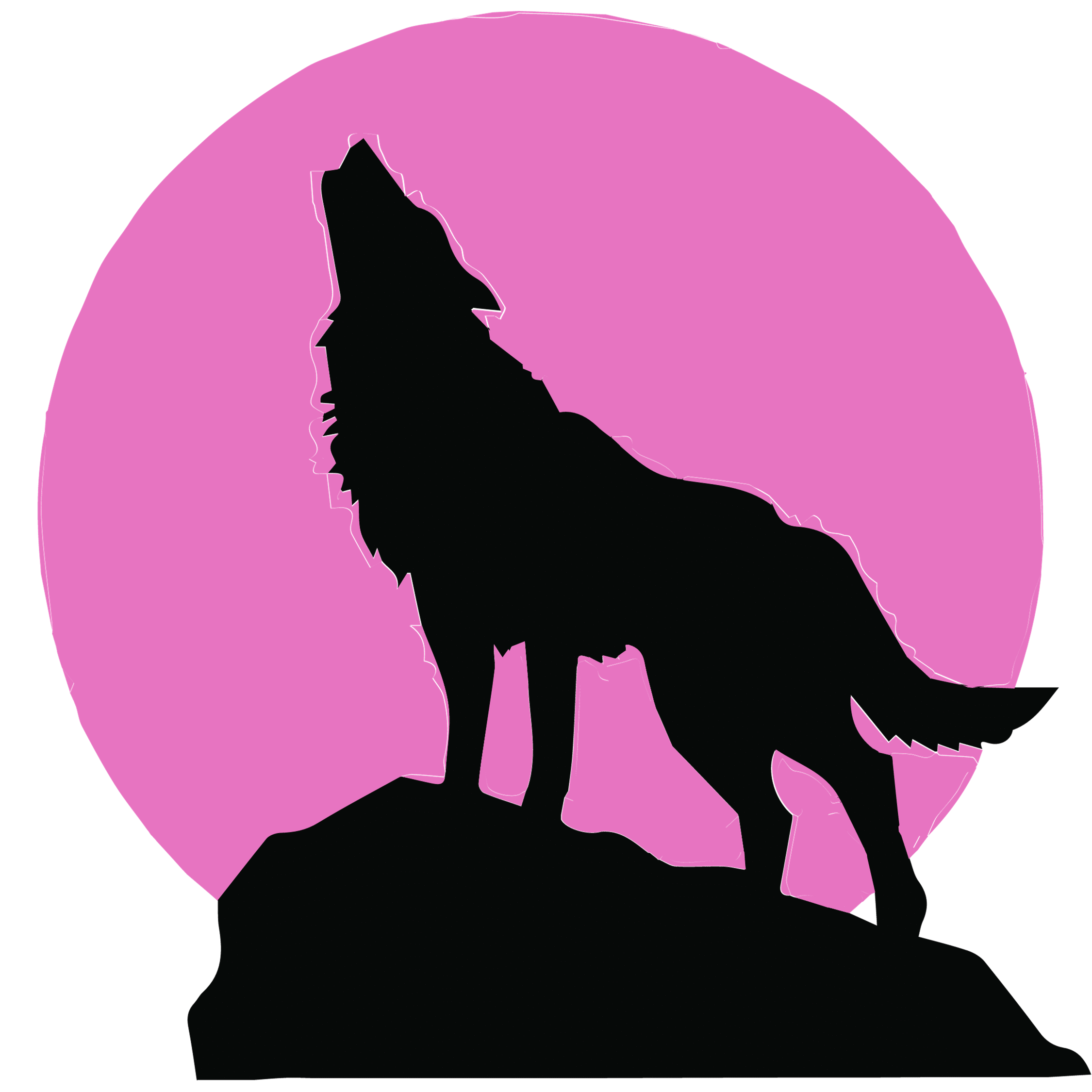 Affordable Website Design for Businesses | The Wolf of the Web